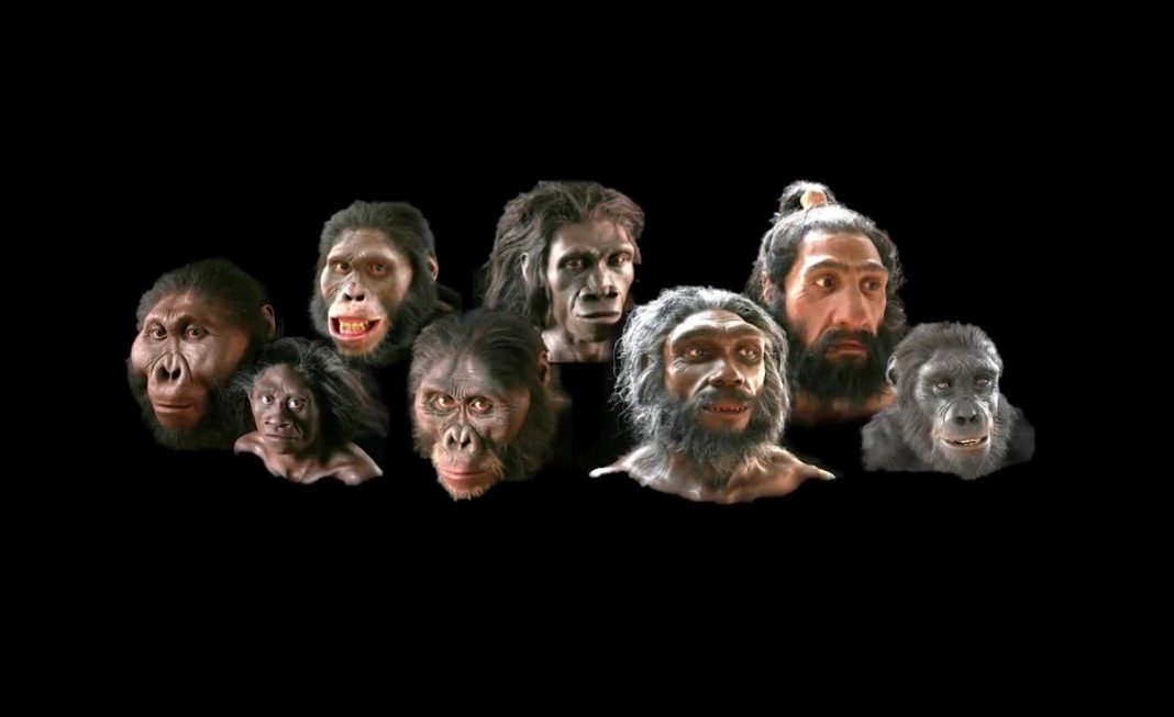 Consecintele evolutiei umane - Descoperă