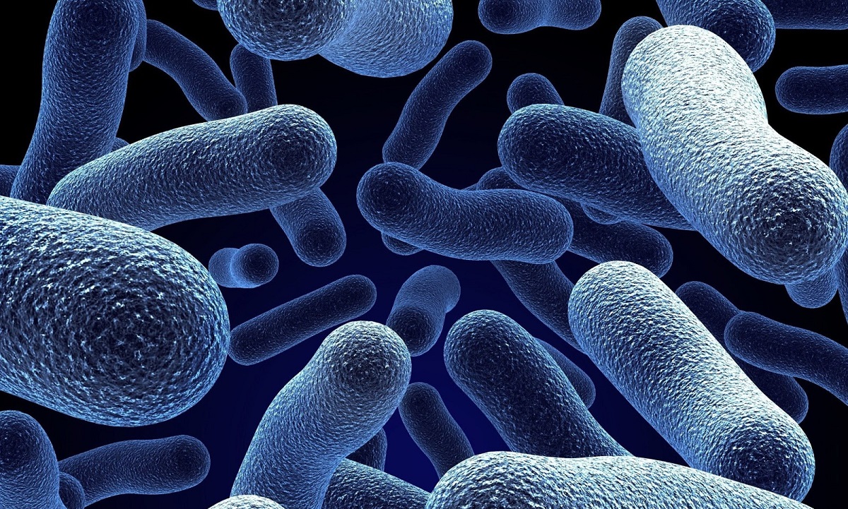 Bacteriile si antibioticele - Descoperă