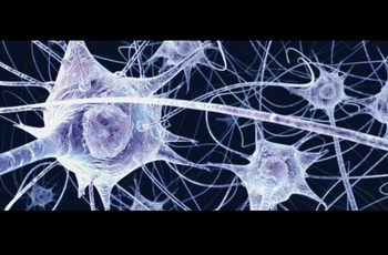 Cum functioneaza neuronul biologic? - Descoperă