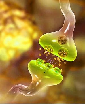 Procese psihice, memoria - Descoperă